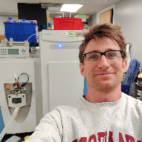 Loop | William Van Treuren