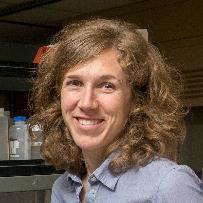 Loop | Andrea Sweigart