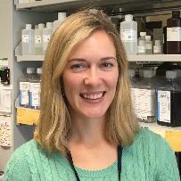 Loop | Kate Stringaris