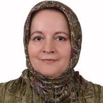 Loop | Parvin Mehdipour