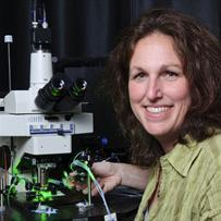 Loop | Miriam B Goodman