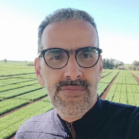 Loop | Rachid Mentag