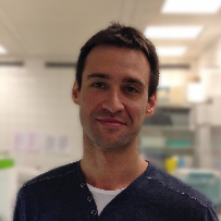 Loop | Christopher Gerner