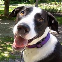 Loop | Cristina De Oliveira Francisco