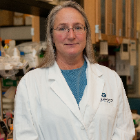 Loop | Alison Anne McCormick