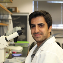 Loop | Soheil Zorofchian