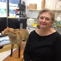 Loop | Trish Fleming