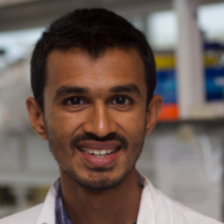 Loop | Siddharth Krishnan