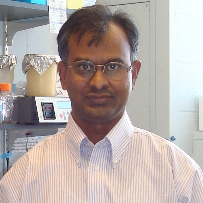 Loop | Mohiuddin Mohammed Taher