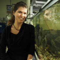 Loop | Francesca Raffini