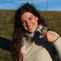 Loop | Veronica Nanni