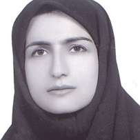 Loop | Marjan Mardani-Hamooleh