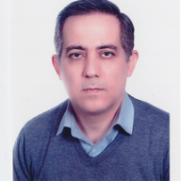 Loop | Mehdi Shamsara