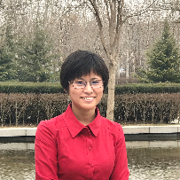 Loop | Tingting Zhang