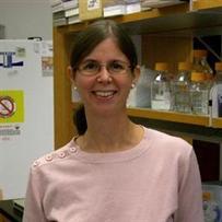 Loop | Amanda Ewart Toland