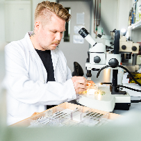 Loop | Thomas Hörren